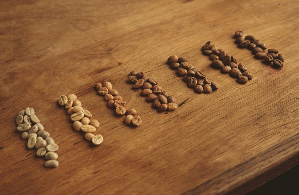 Discovering Typica Coffee: Unique Flavor and Rich History – Golden Cava
