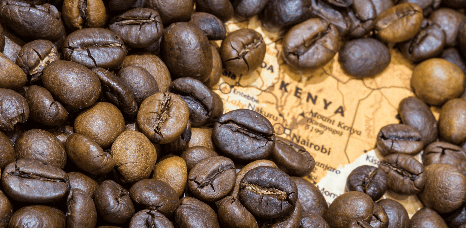 Discover the Rich Aroma and Unique Taste of Kenya Coffee – Golden Cava